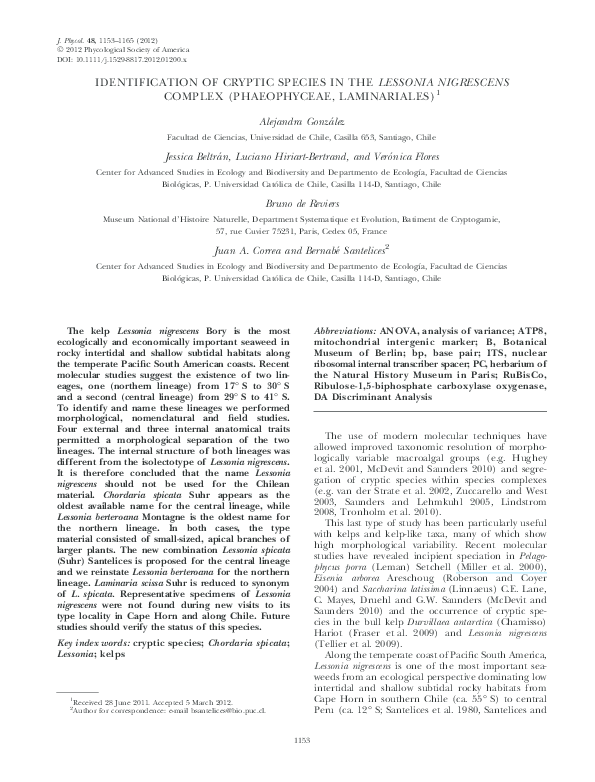 (PDF) IDENTIFICATION OF CRYPTIC SPECIES IN THE LESSONIA NIGRESCENS ...