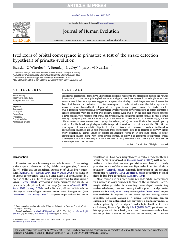 (PDF) Predictors of orbital convergence in primates: A test of the ...
