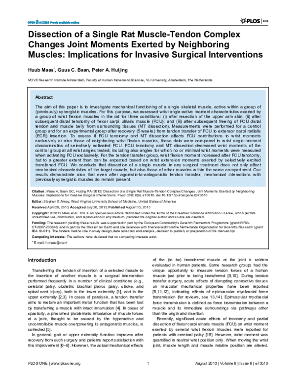 (PDF) Dissection of a single rat muscle-tendon complex changes joint ...