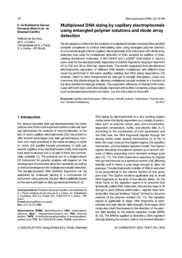 (PDF) Multiplexed DNA sizing by capillary electrophoresis using ...