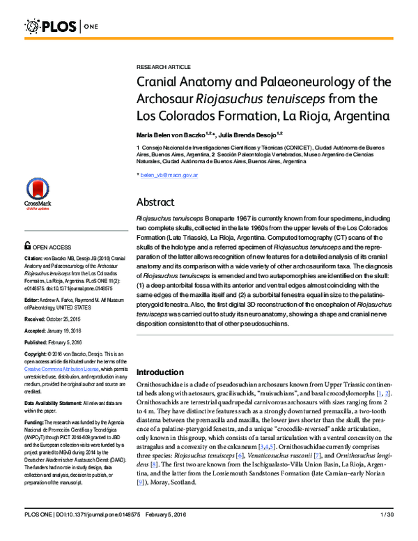 (PDF) Cranial Anatomy and Palaeoneurology of the Archosaur Riojasuchus ...