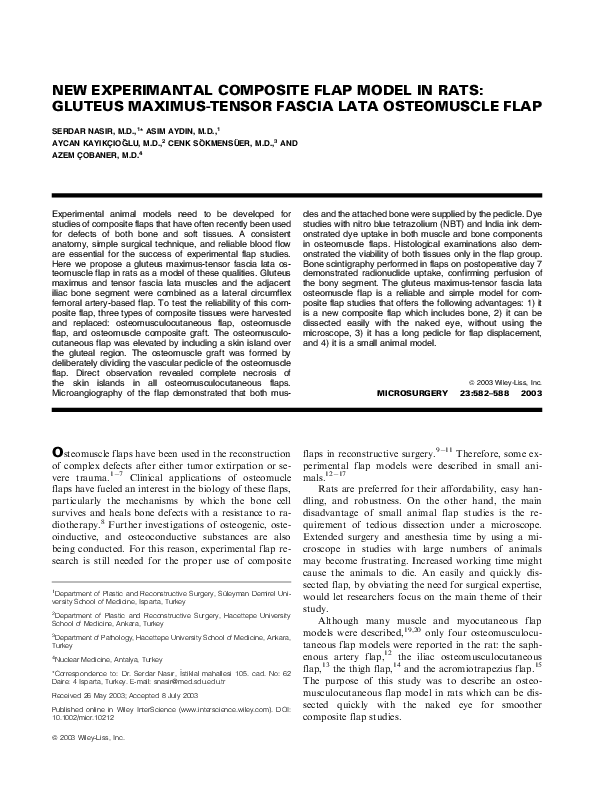 (PDF) New experimantal composite flap model in rats: Gluteus maximus ...