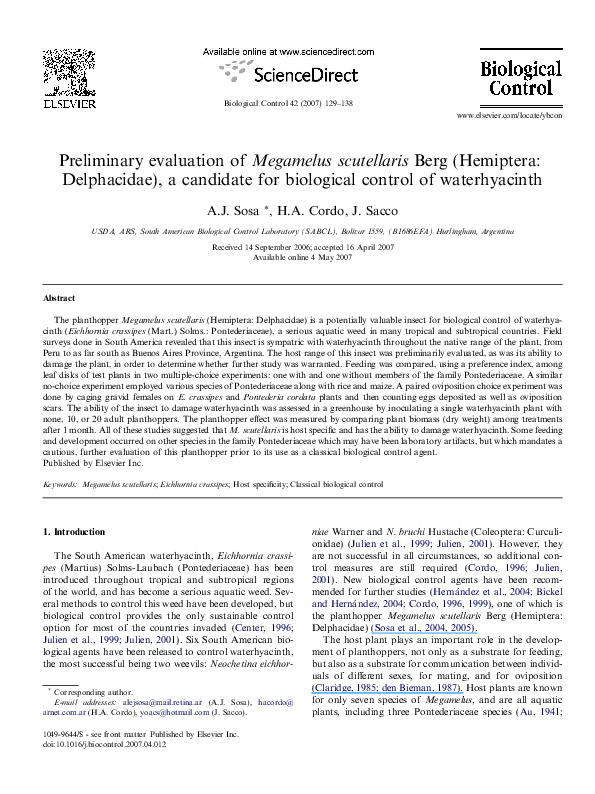 (PDF) Preliminary evaluation of Megamelus scutellaris Berg (Hemiptera ...