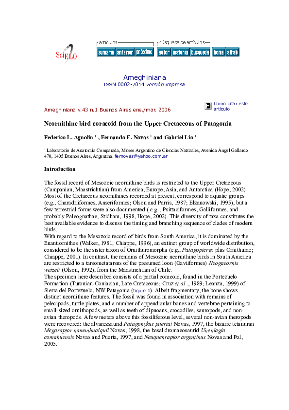 (DOC) Neornithine bird coracoid from the Upper Cretaceous of Patagonia ...