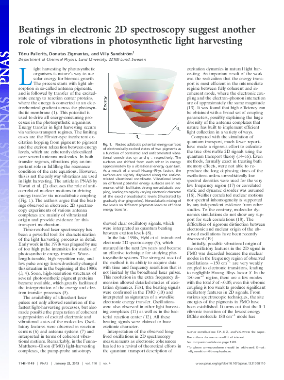 (PDF) Beatings in electronic 2D spectroscopy suggest another role of ...