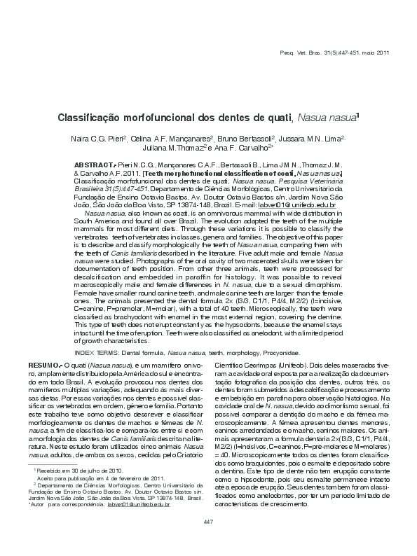 (PDF) Teeth morphofunctional classification of coati, Nasua nasua