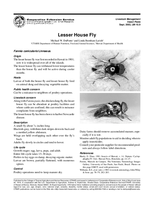 (PDF) Lesser House Fly | Michael Duponte and Linda Larish - Academia.edu