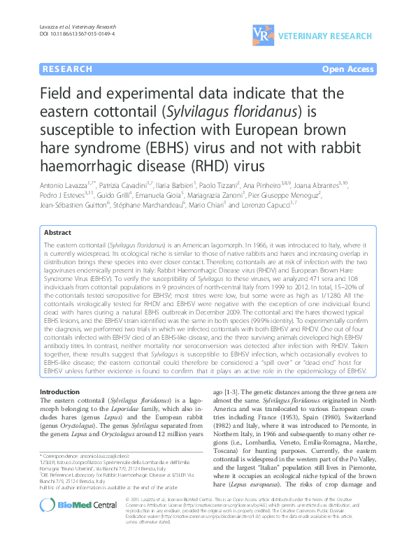(PDF) Field and experimental data indicate that the eastern cottontail ...