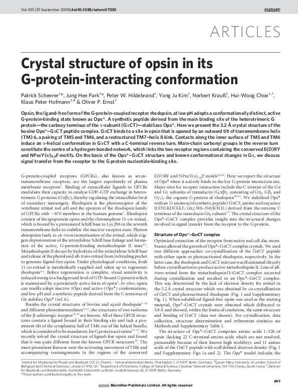 (PDF) Crystal structure of opsin in its G-protein-interacting conformation