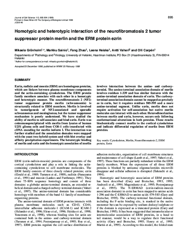(PDF) Microtubule-mediated transport of the tumor-suppressor protein ...