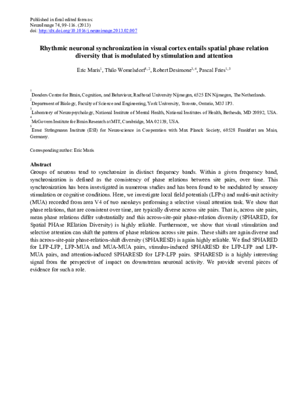 Pdf Rhythmic Neuronal Synchronization In Visual Cortex Entails Spatial Phase Relation