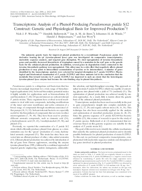 Pdf Transcriptome Analysis Of A Phenol Producing Pseudomonas Putida