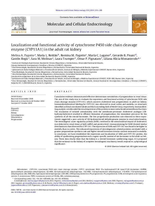 (PDF) Localization and functional activity of cytochrome P450 side ...