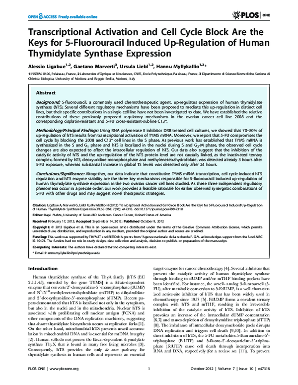 (PDF) Transcriptional Activation and Cell Cycle Block Are the Keys for ...