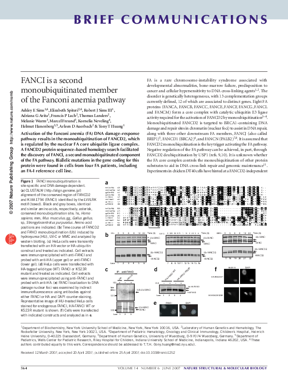 (PDF) FANCI is a second monoubiquitinated member of the Fanconi anemia ...