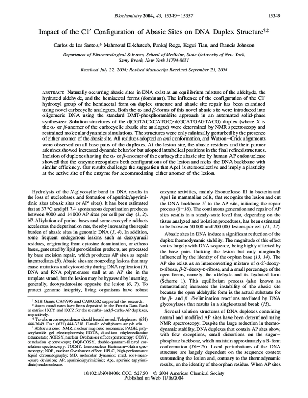 (PDF) Impact of the C1‘ Configuration of Abasic Sites on DNA Duplex ...