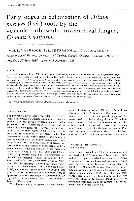 (PDF) Early stages in colonization of Allium porrwn (leek) roots by the ...