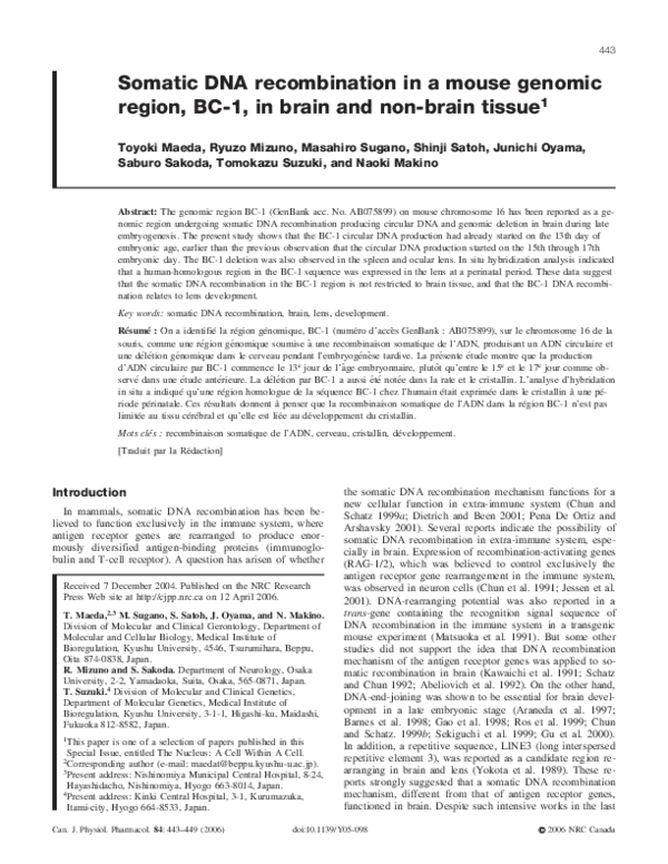 (PDF) Somatic DNA recombination in a mouse genomic region, BC1, in ...