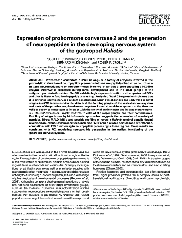 (PDF) Expression of prohormone convertase 2 and the generation of ...