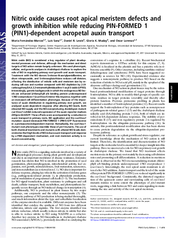 (PDF) Nitric oxide causes root apical meristem defects and growth ...