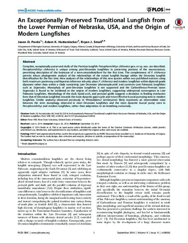 (PDF) A Lungfish (Sarcopterygii, Dipnomorpha) Tooth Plate from the ...
