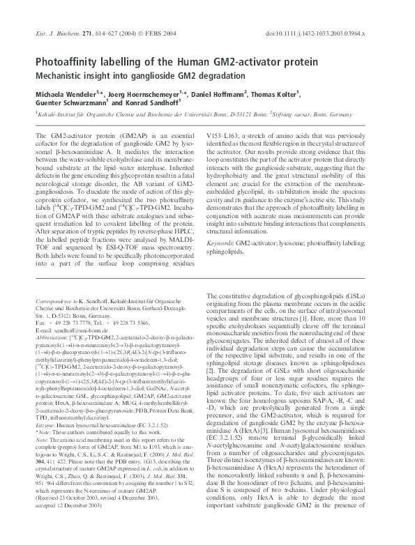(PDF) Photoaffinity labelling of the Human GM2-activator protein ...