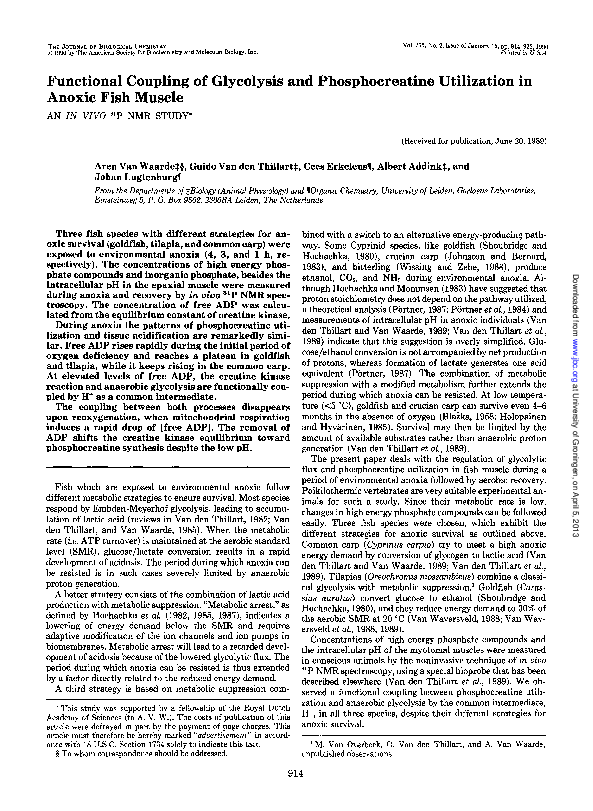 (PDF) Functional coupling of glycolysis and phosphocreatine utilization ...