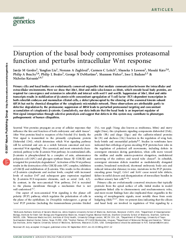 (PDF) Disruption of the basal body compromises proteasomal function and ...