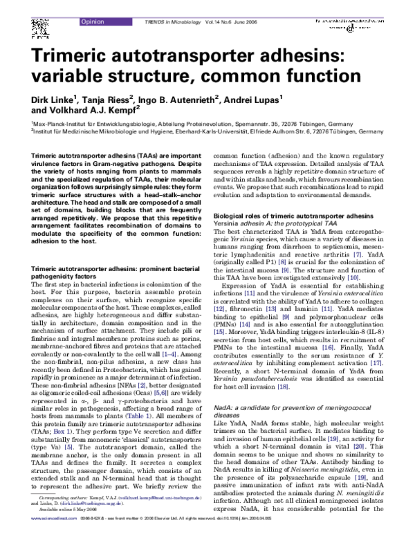 (PDF) Trimeric autotransporter adhesins: variable structure, common ...