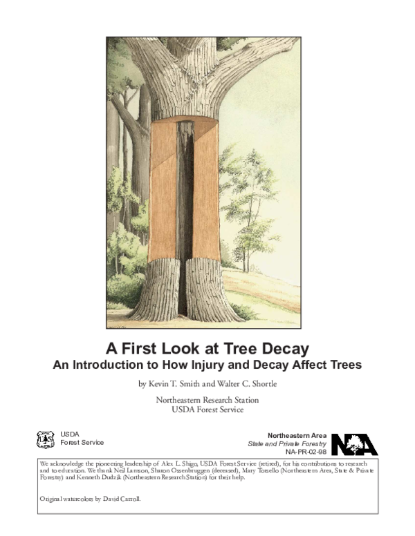 (PDF) A First Look at Tree Decay An Introduction to How Injury and ...