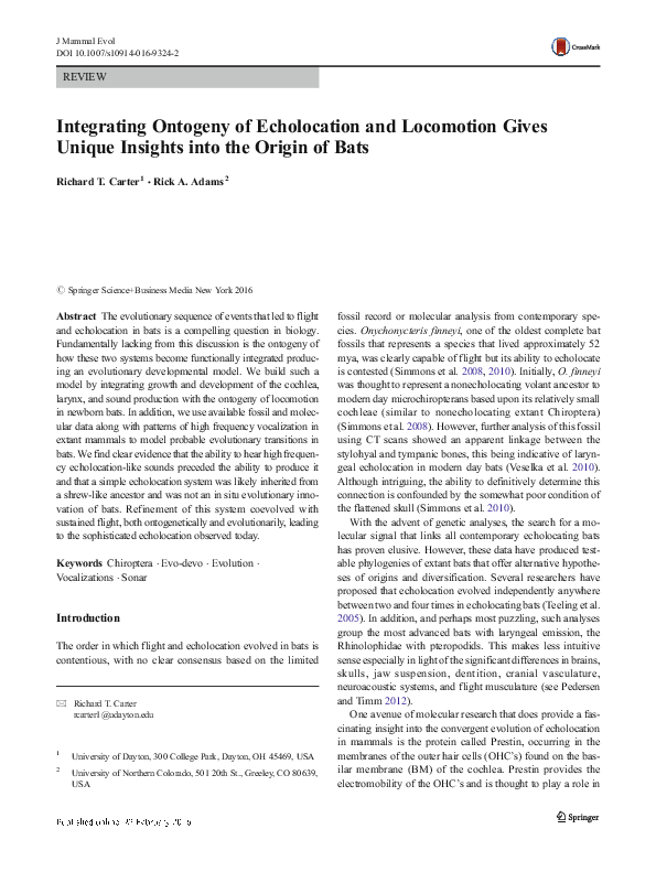 (PDF) Integrating Ontogeny of Echolocation and Locomotion Gives Unique ...