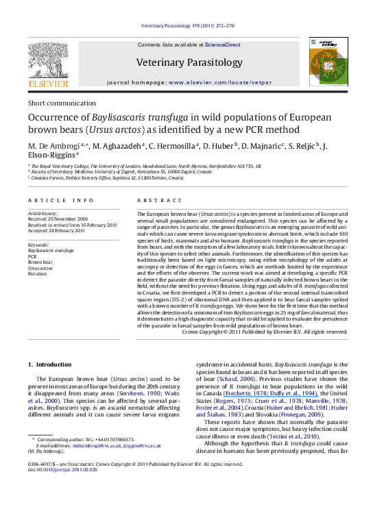 (PDF) Occurrence of Baylisascaris transfuga in wild populations of ...