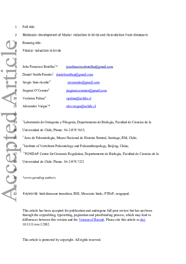 (PDF) Molecular development of fibular reduction in birds and its ...