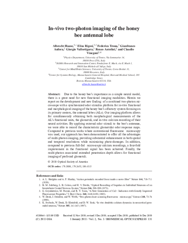 (PDF) In-vivo two-photon imaging of the honey bee antennal lobe