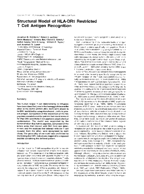 (PDF) Structural model of HLA-DR1 restricted T cell antigen recognition ...