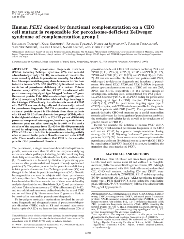 (PDF) Human PEX1 cloned by functional complementation on a CHO cell ...
