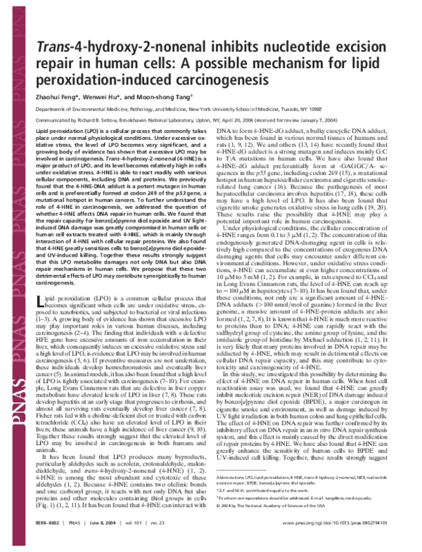 (PDF) Trans-4-hydroxy-2-nonenal inhibits nucleotide excision repair in ...