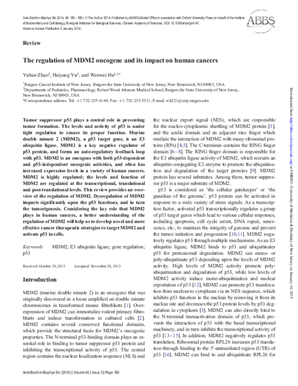 (PDF) The regulation of MDM2 oncogene and its impact on human cancers