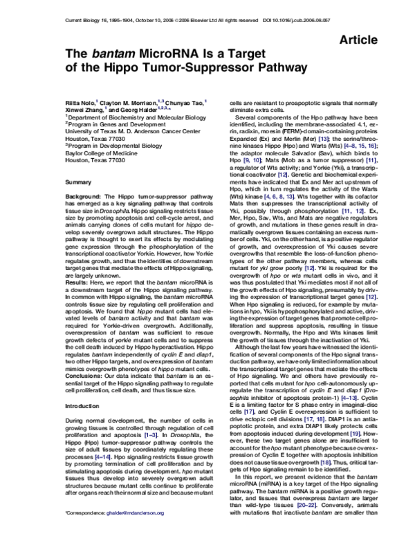 (PDF) The bantam MicroRNA Is a Target of the Hippo Tumor-Suppressor Pathway