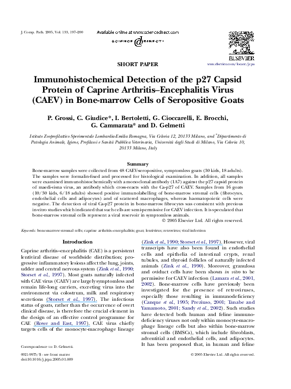 (PDF) Immunohistochemical Detection of the p27 Capsid Protein of ...