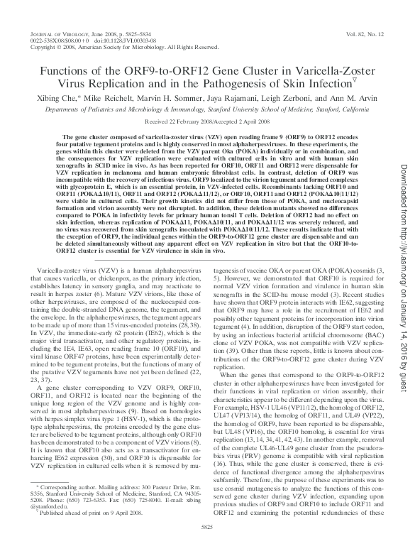 (PDF) Functions of the ORF9-to-ORF12 Gene Cluster in Varicella-Zoster ...