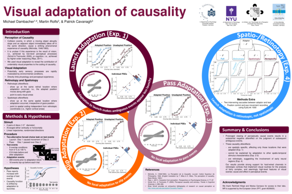(PDF) Visual adaptation of causality
