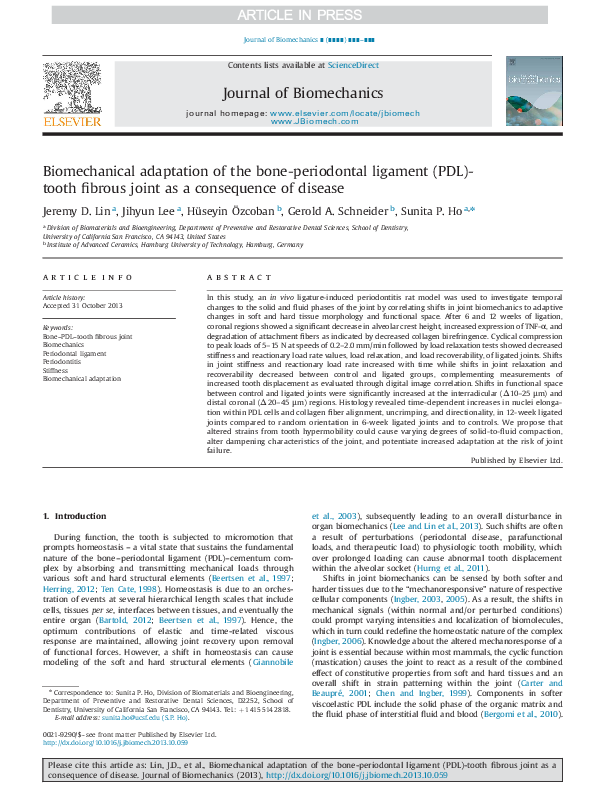 (PDF) Biomechanical adaptation of the bone-periodontal ligament (PDL ...