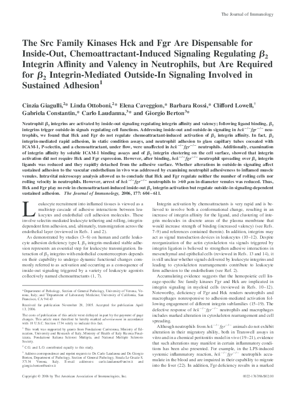 (PDF) The Src Family Kinases Hck and Fgr Are Dispensable for Inside-Out ...