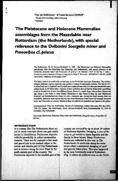 (PDF) The Pleistocene and Holocene Mammalian assemblages from the ...