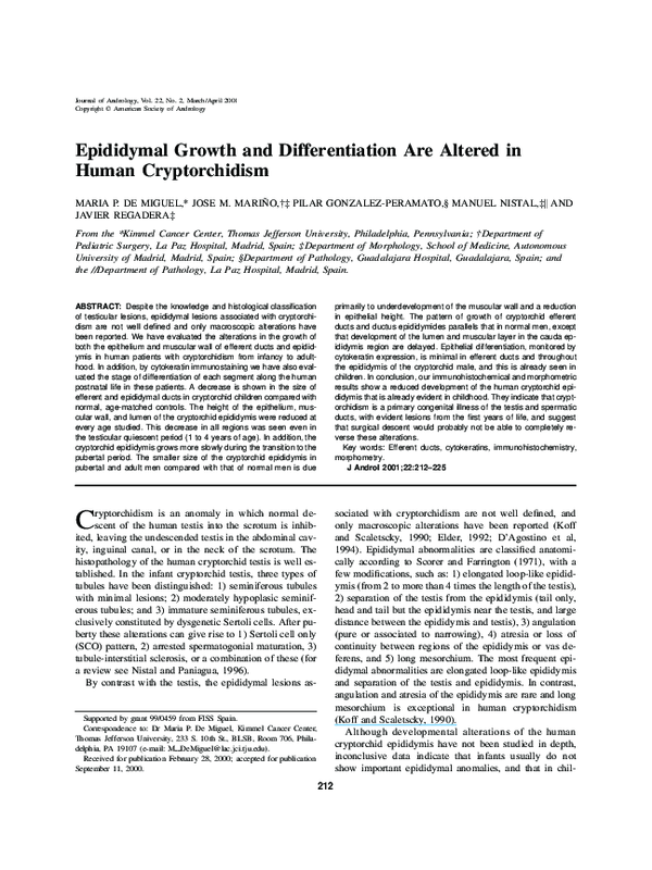 (PDF) Epididymal growth and differentiation are altered in human ...