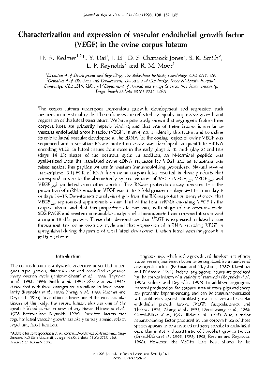 (PDF) Characterization and expression of vascular endothelial growth ...