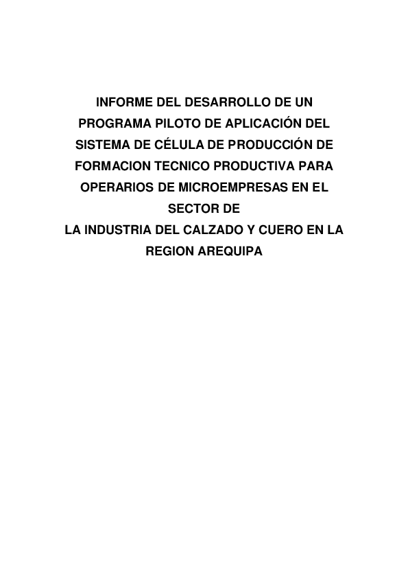 (PDF) DESARROLLO PROGRAMA PILOTO FABRICACION DE CALZADO