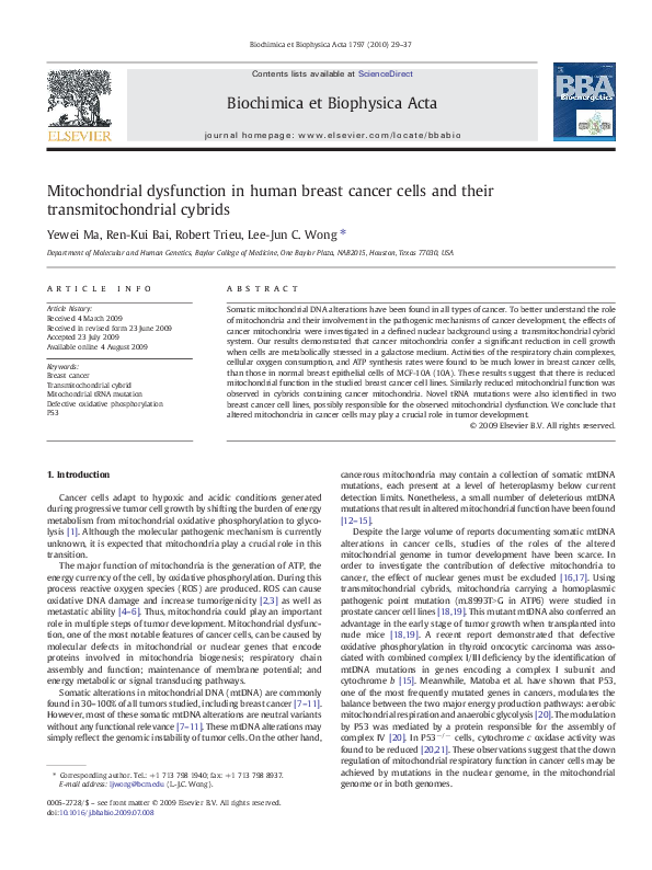 (PDF) Mitochondrial dysfunction in human breast cancer cells and their ...