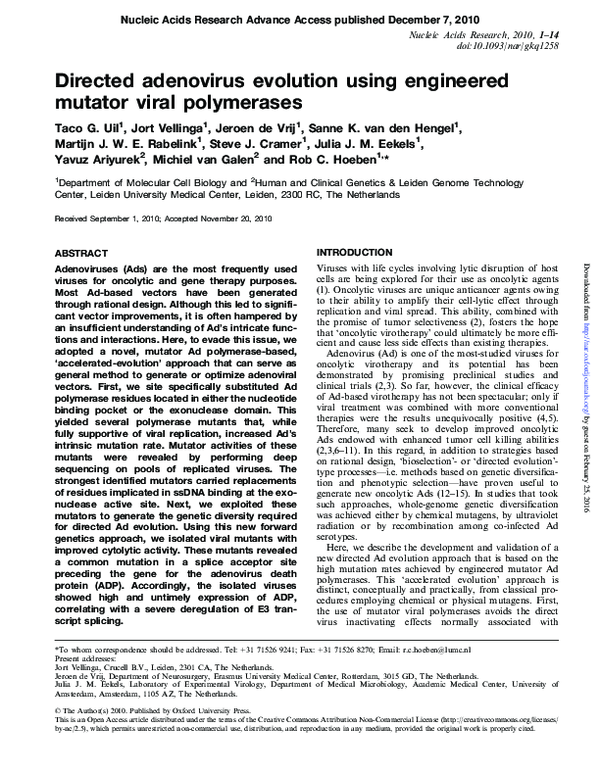 (PDF) Directed adenovirus evolution using engineered mutator viral polymerases